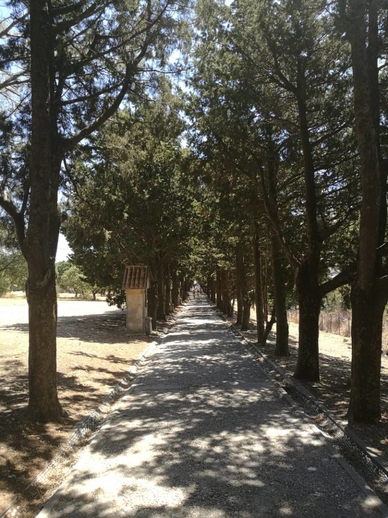 10 ταξιδιωτικές συμβουλές για την Ρόδο – my Wanderlust